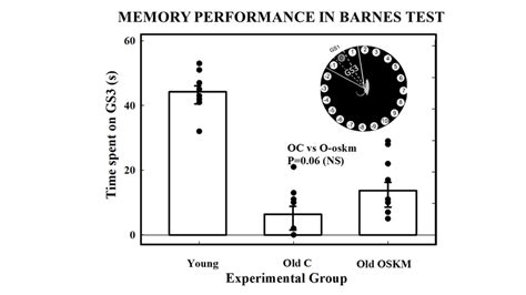 Spatial Memory Performance In The Barnes Test The Main Plot Shows The Download Scientific