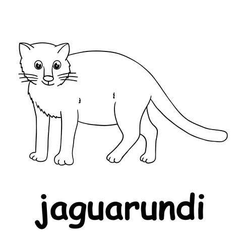 Niños Línea Ilustración Colorear Jaguarundi Vector De Contorno Para