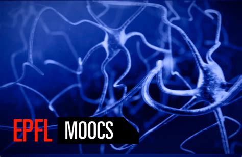 Introduction To Computational Neuroscience Incf Trainingspace