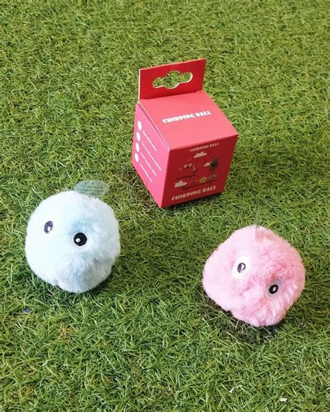 Cat Chirping Toy Ball Usb At ₹ 200 Piece Kadugodi Bengaluru Id 2856329198862