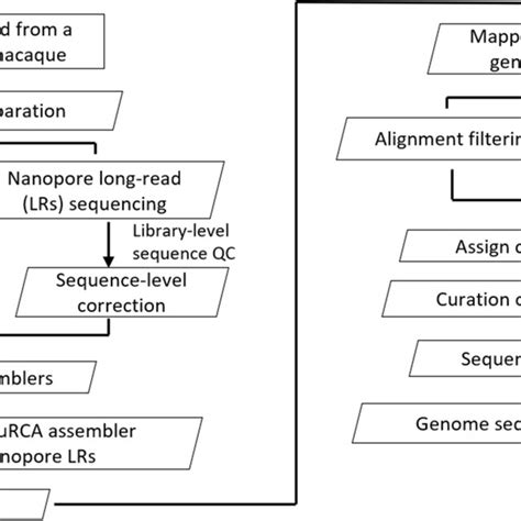 Phylogenetic Tree Of Eight Different Species With Divergence Time Download Scientific Diagram