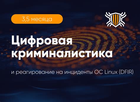 Курсы по информационной безопасности дистанционно с сертификатом