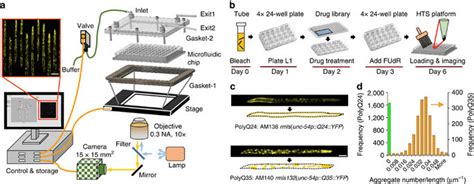 The High Throughput Screening Hts Platform And Assay Details For C