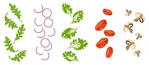 날아다니거나 떨어지는 야채 양상추와 채소 토마토 루꼴라 버섯 양파 건강한 벡터 일러스트 레이 션을 위해 새겨진 다진 야채 개체 그룹에 대한 스톡 벡터 아트 및 기타 이미지
