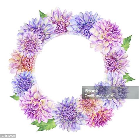 배너 달리아 꽃 프레임 라운드입니다 근접 촬영 달리아 꽃입니다 결혼식 초대 발렌타인의 날 어머니의 날 수채화 손으로 그린 그림을 흰색 배경에 고립 된 그림 0명에 대한 스톡