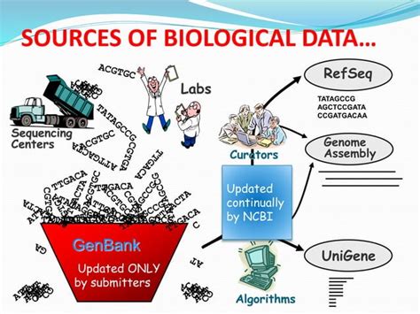 Biological Database By Kk Sahu Ppt Free Download