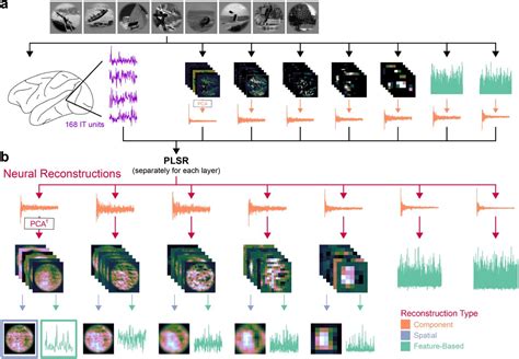 Zero Shot Neural Decoding Of Visual Categories Without Prior Exemplars