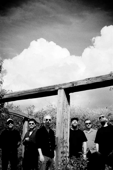 Singularity 12 Wild Peacock Sex Swing Singularity 12 Wild Peacock Sex Swing