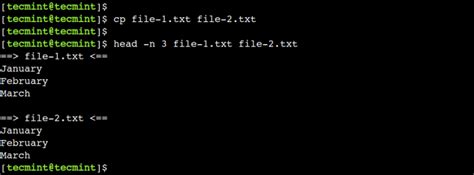 How To Use Head Command To Manage Files Effectively