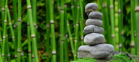 Zen Moment Spiritcrossing