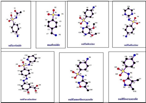 跟我学药物设计 传统药物设计方法 知乎