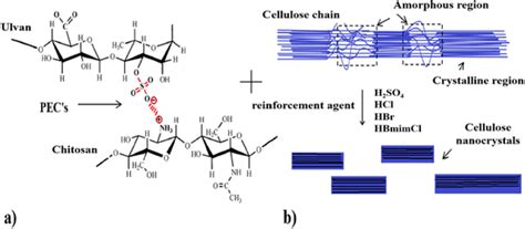 Scheme 1 Schematic Illustration Of The Formulation Of A