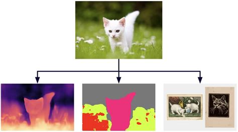 Dinov2 Exploring Self Supervised Vision Transformers Marvik