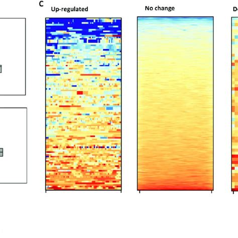 Nucleosome Occupancy At Ph Mediated Chromatin Contacts A Shows Download Scientific Diagram