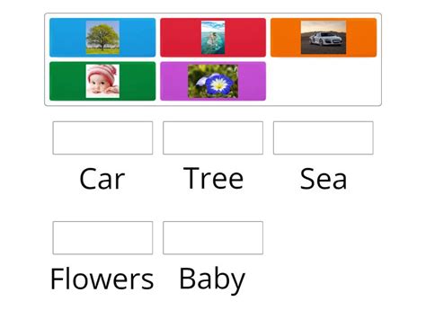 Choose Answer Match Up