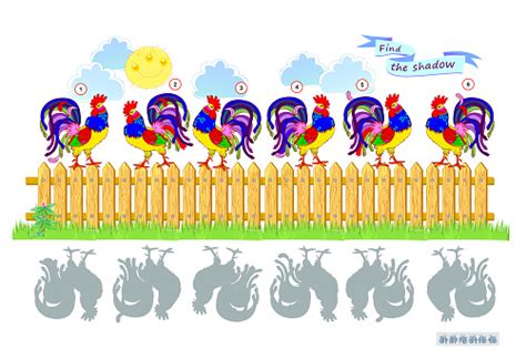 아이들을 위한 최고의 퍼즐 각 수탉의 그림자를 찾을 수 있습니까 교육용 게임 어린이를 위한 논리 교육 온라인 플레이 세심함을위한 작업 Iq 테스트 벡터 만화 그림입니다 0