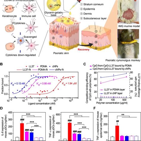 Yongming Chens Research Works Sun Yat Sen University Guangzhou Sysu And Other Places