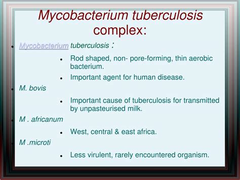 Ppt Chemotherapy Of Tuberculosis Powerpoint Presentation Free