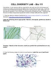 Cell Diversity Lab Bio Pdf CELL DIVERSITY LAB Bio Introduction In Your Previous Lab