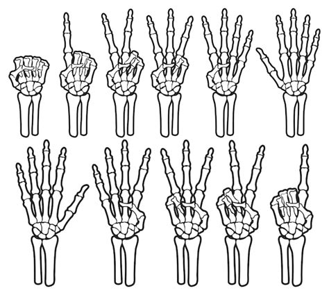 Premium Vector Skeleton Bone Hand Counting Number Of Fingers Sign