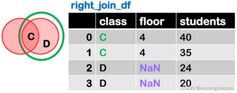 Python 玩转数据 17 Pandas 数据处理 合并 Pdmerge Df1mergedf2dfmerge Csdn博客