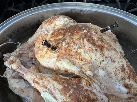 Typhur Sync Wireless Meat Thermometer Review Measure That Meat The Gadgeteer