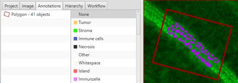 Convert Annotations Into Detections Counting In The Annotations Tab Is