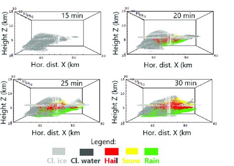 Three Dimensional Depictions Of Cloud Hydrometeor Fields During The