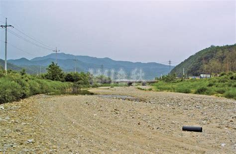 가뭄에 물이 마른 하천청리천 건천화는 수생곤충이 절멸하는 피해를 줄 수 있다