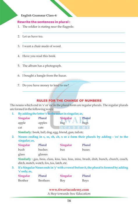 Class English Grammar Chapter The Noun Numbers Singular Plural