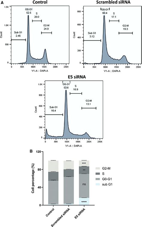 A The Assessment Of The Cell Cycle By Flow Cytometry The Cell Cycle Download Scientific