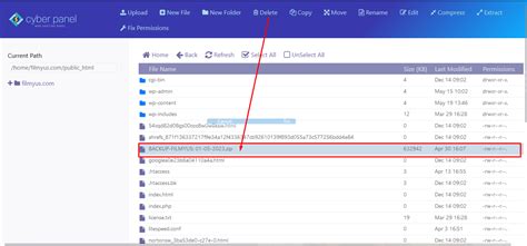 Filesfolders Can Not Be Deleted Problem Web Server Cyberpanel