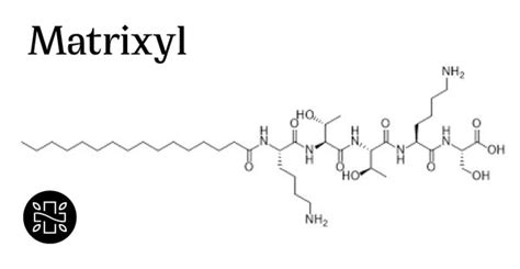Matrixyl And Copper Peptides Understanding Active Skincare