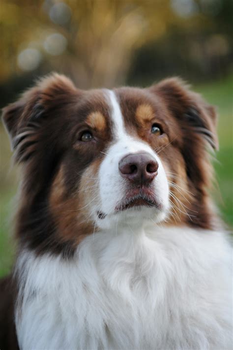 53236 Fotos Y Imágenes De Culitoshermosos Gratis · Banco De Fotos Gratis