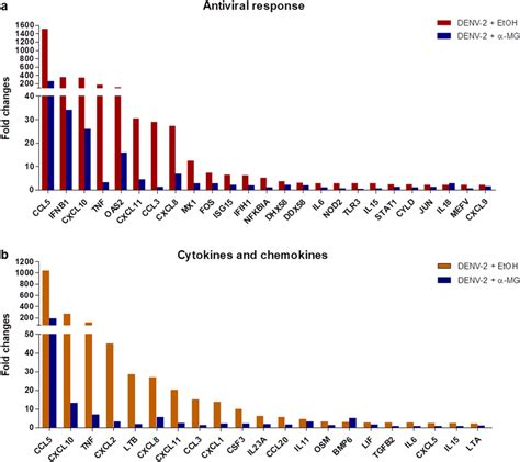 Real Time Reverse Transcription Polymerase Chain Reaction Real Time