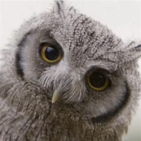 Aidro M0ro1mdx9f9q Hs2p Bpnx9ppqo2vwaezriqqxwax S900 C K C0x00ffffff No Rj