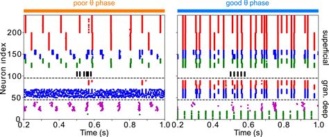 Figures And Data In Interacting Rhythms Enhance Sensitivity Of Target