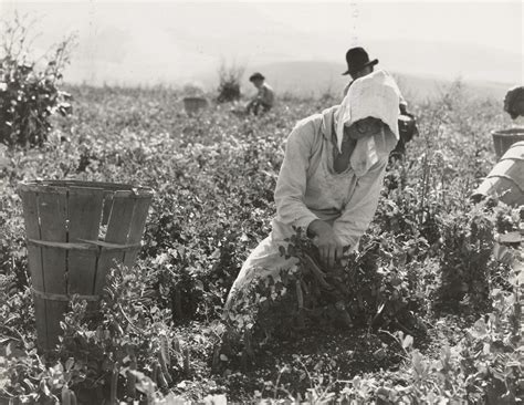 The Great Depression A Transition From The Agricultural Age To The