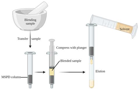 Processes Free Full Text Miniaturized Solid Phase Extraction Techniques Applied To Natural