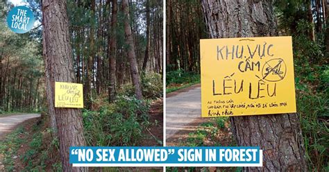 Vietnam Forest Has A Sign That Bans Sex To Protect Trees From Harm