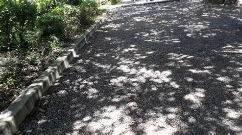 나무그늘 Asmr Youtube