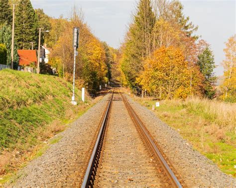 Portrait View Of Train Track Surrounded By Trees Grass And Tracks In