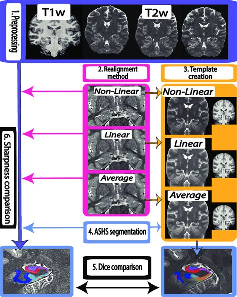 Processing Pipeline For Assessing Segmentation Consistency Between