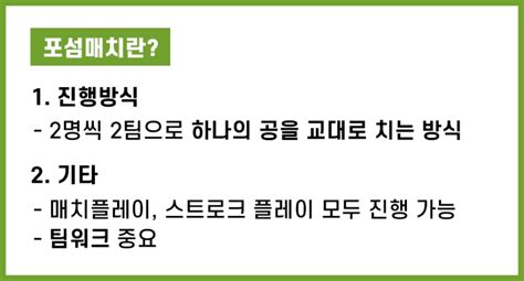 골프 포섬매치 포볼매치 스트로크 플레이 매치플레이 경기방식 3분 완벽 정리 네이버 블로그