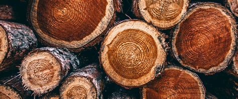 Where To Place Logger In Golang Dev Community