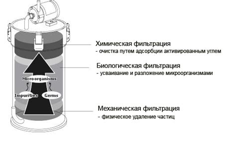 three types of filtration