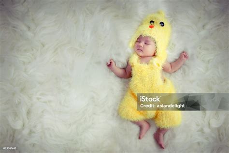 신생아 아기 초상화입니다 행복 자 사랑 스러운 귀여운 아시아 아기 입고 노란 닭 드레스 스위트 아시아 중국에 대 한 로그인 조디악 년 수 면 달콤한 백 일 몽으로 모피