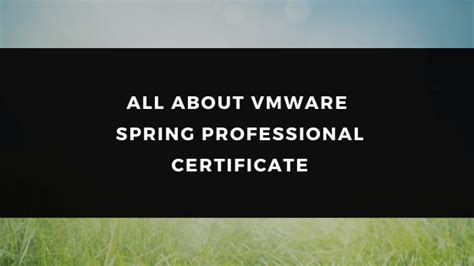 All About Vmware Spring Professional Certificate