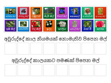 4 ශ්‍රේණිය පැළෑටි හා ගස්වැල් පරිසරය අාශ්‍රීත ක්‍රියාකාරකම් හංසිකා