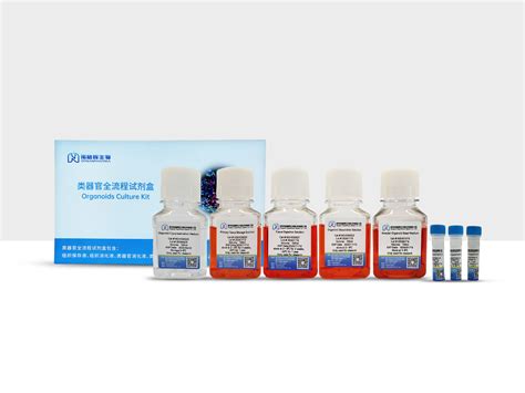 肺泡类器官试剂盒 诺格辉生物